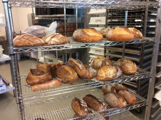 Quest for Sourdough Workshop – Pt 1- Library – Northwest Sourdough